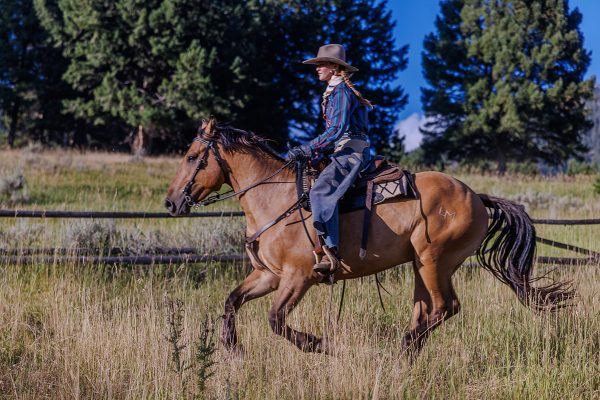 Horseback Riding in Big Sky, Montana | Lone Mountain Ranch